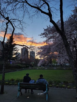 BURNABY PUBLIC LIBRARY - Updated December 2025 - 95 Photos & 27 Reviews ...