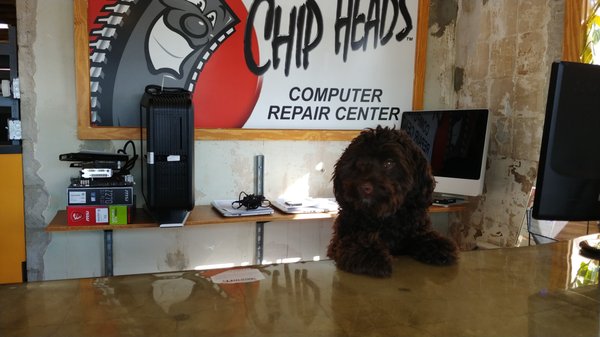 CHIPHEADS COMPUTER REPAIR SHOP - Updated July 2025 - 19 Photos & 73 ...
