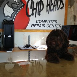CHIPHEADS COMPUTER REPAIR SHOP - 20 Photos & 66 Reviews - 6333 Penn Ave ...