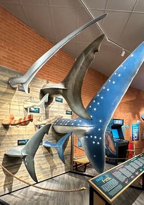 FLANDRAU SCIENCE CENTER & PLANETARIUM - Updated August 2025 - 127 ...