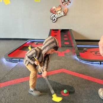 BIRDEEZ - Updated September 2025 - 254 Photos & 85 Reviews - 151 N ...