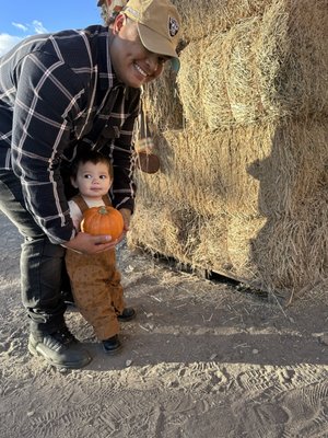 FERRARI FARMS - Updated October 2025 - 191 Photos & 69 Reviews - 4701 ...