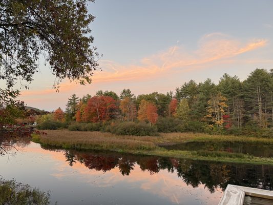 SAKANA JAPANESE CUISINE - Updated December 2025 - 15 Photos - 239 ...