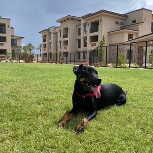 SAN ARTES BY MARK-TAYLOR - 30 Photos & 11 Reviews - 17900 N Hayden Rd ...