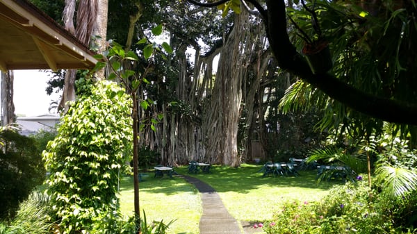 ISKCON HAWAII - Updated December 2025 - 14 Photos & 12 Reviews - 51 ...