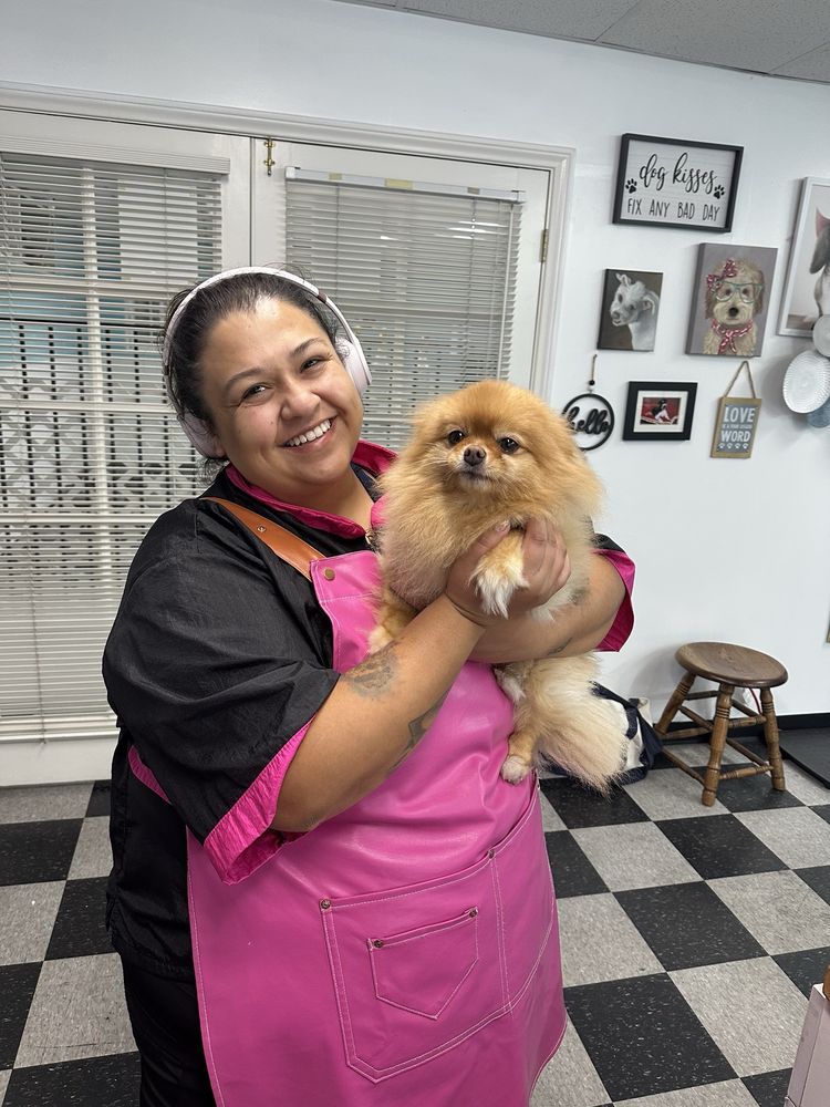 DOG HOUSE STUDIO CITY - Updated January 2026 - 194 Photos & 383 Reviews ...