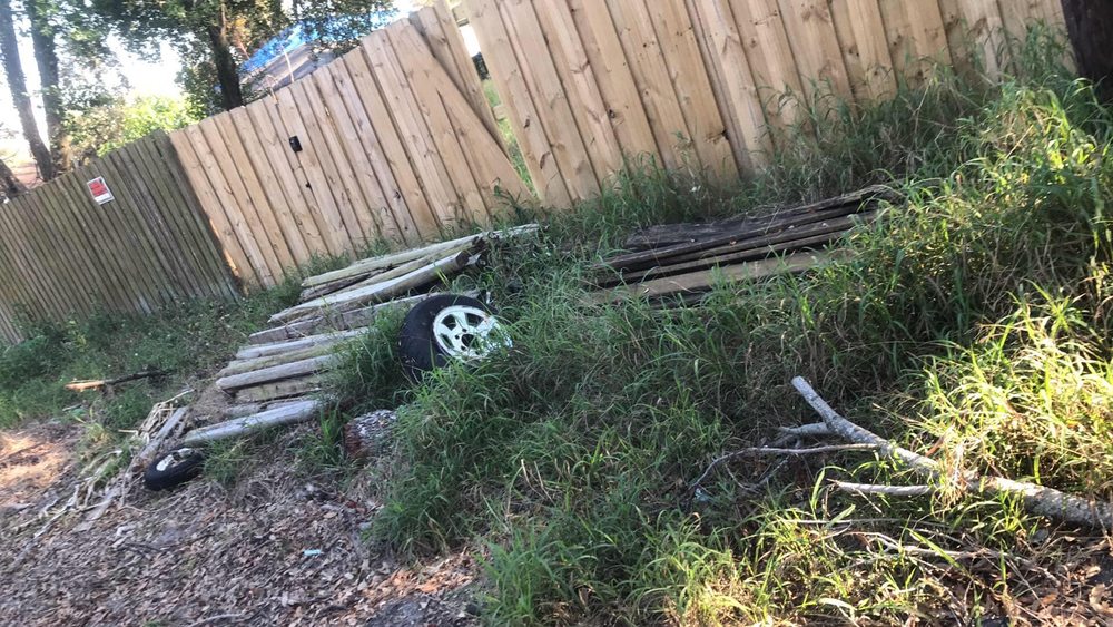 TREES AND JUNK - Updated 05/2025 - Request a Quote - 10 Photos - Tampa ...
