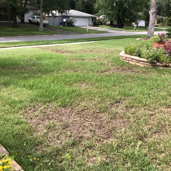 HUGHES EXTERMINATORS - Updated October 2025 - 18 Reviews - 1781 W ...