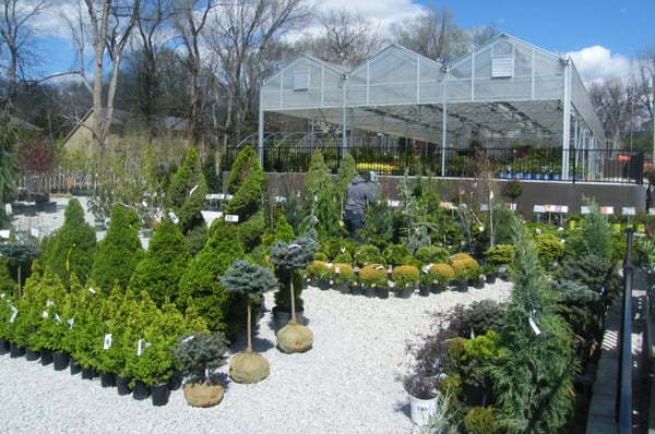 Family Tree Nursery Liberty