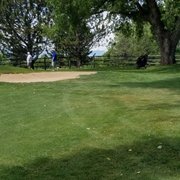 HARVARD GULCH GOLF COURSE - 14 Photos & 27 Reviews - 660 E Iliff Ave ...