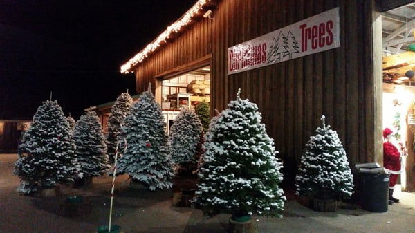PACIFIC FIREWOOD & LUMBER - Updated June 2026 - 10 Photos & 19 Reviews ...