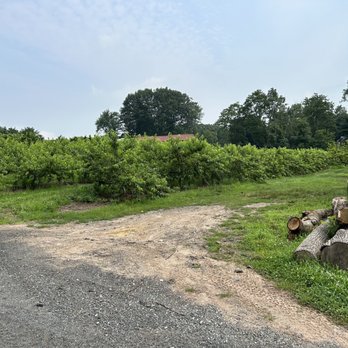 DEMAREST FARM - Updated October 2024 - 800 Photos & 340 Reviews - 244 ...