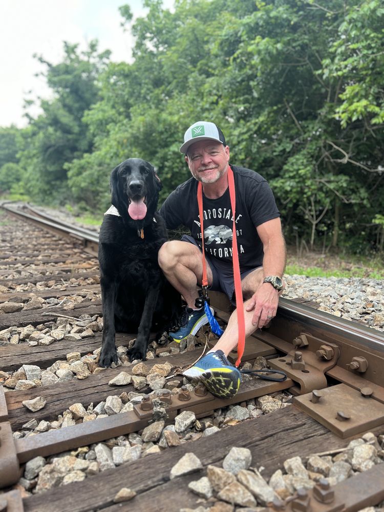 GITTY UP LITTLE DOGGIES DOG SITTING - Updated February 2025 - Request ...