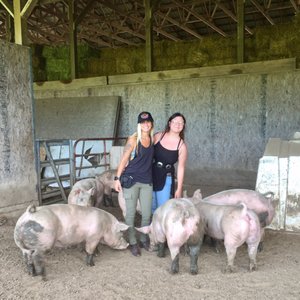 KNOBLOCK RIDING STABLE - 22 Photos & 14 Reviews - Horseback Riding ...