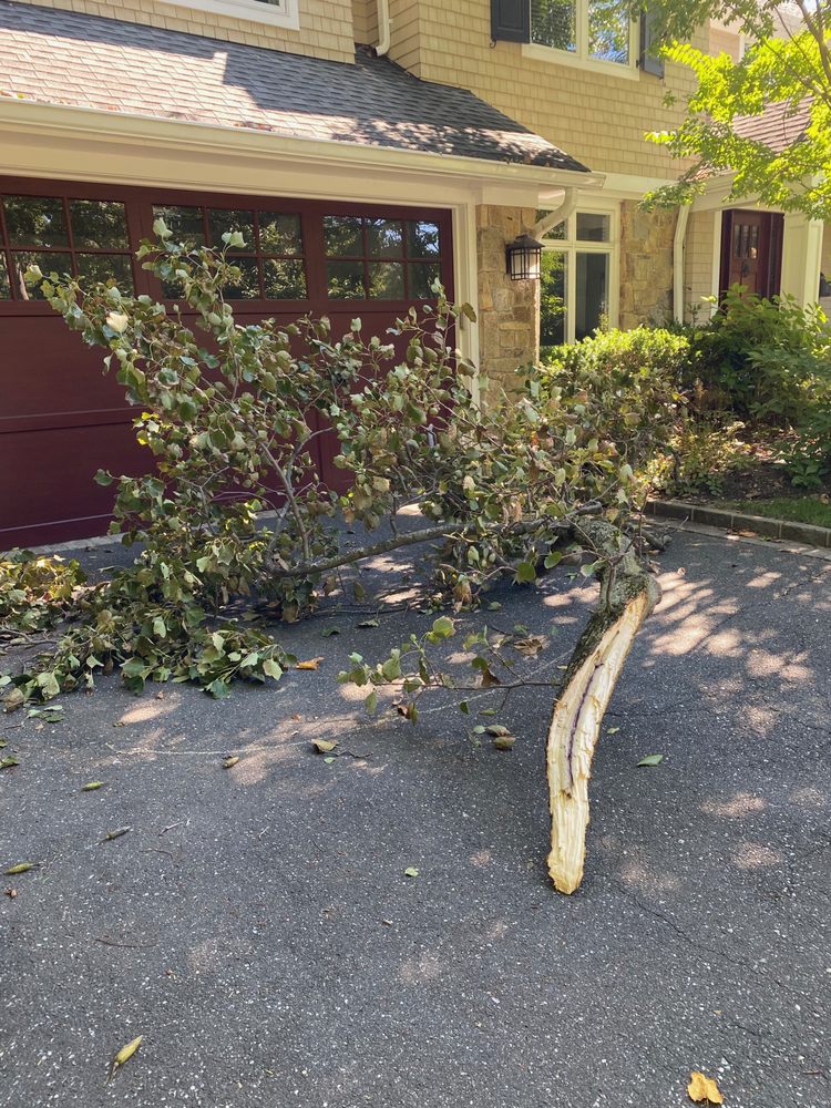 HEFFERIN TREE SERVICE - Updated December 2025 - 12 A Valley Rd, Port ...