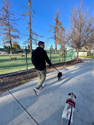 ROY M BUTCHER DOG PARK - Updated December 2024 - 250 Photos & 311 ...