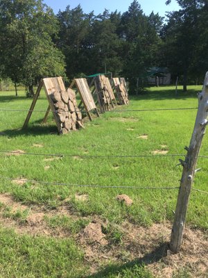 LOST PINES SCOUT RESERVATION - 39 Photos - 785 Fm 1441, Bastrop, Texas ...