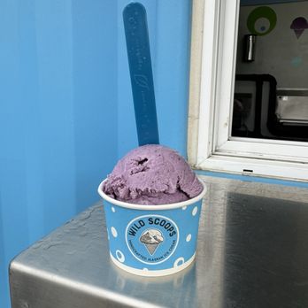 WILD SCOOPS - Updated September 2025 - 40 Photos & 23 Reviews - 717 W ...