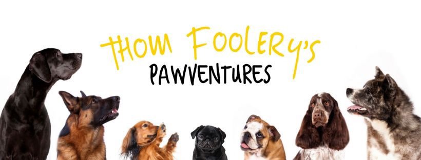 THOM FOOLERY’S PAWVENTURES - Updated September 2025 - 15 Photos & 11 ...