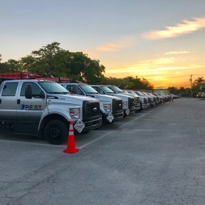 RIDD PEST CONTROL - 20 Reviews - 5418 56th Commerce Park Blvd, Tampa ...