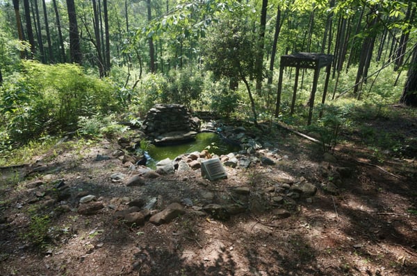 PIEDMONT NATIONAL WILDLIFE REFUGE - Updated November 2024 - 41 Photos ...