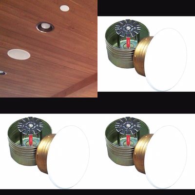 LIFELINE FIRE PROTECTION - Updated December 2025 - 50 Weybright Court ...