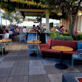 RARE BIRD - Updated December 2025 - 41 Photos & 26 Reviews - 245 ...