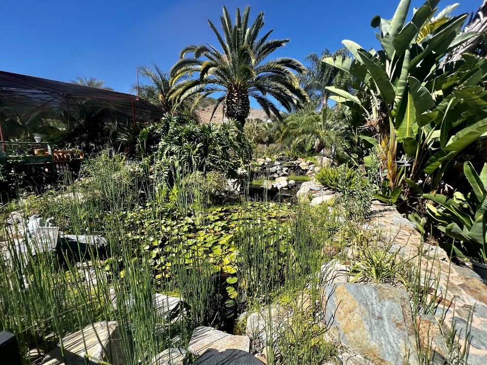 THE MADD POTTER - Updated September 2025 - 47 Photos & 31 Reviews - 136 ...