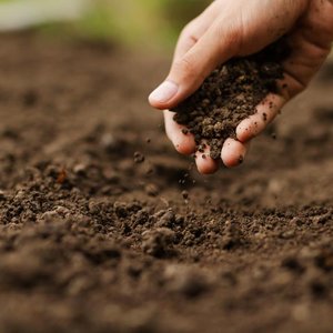 VERONA COLLECTIVE - Updated January 2025 - 5528 Ny-31, Verona, New York ...