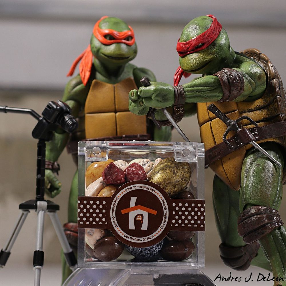 THE NUT HOUSE - Updated December 2024 - 126 Photos & 66 Reviews - 7281 ...