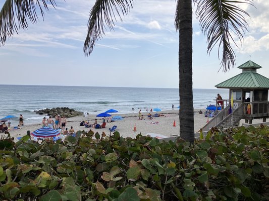 RED REEF PARK - Updated April 2025 - 163 Photos & 61 Reviews - 1400 N ...