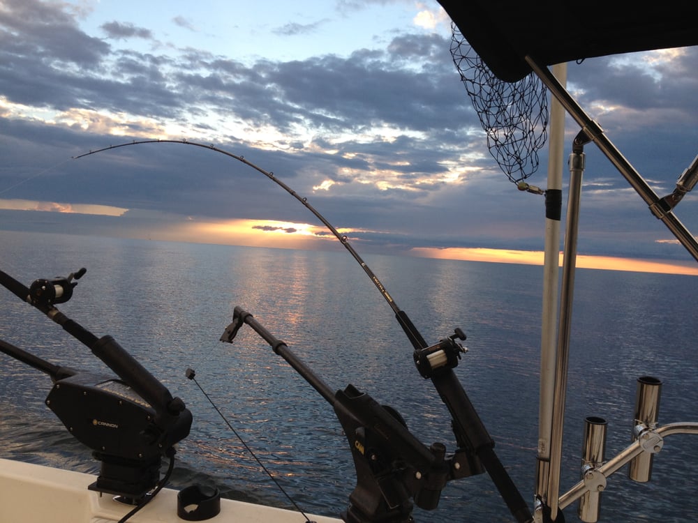 NORRLAND RESORT - 15 Photos - 12009 State Hwy 42, Ellison Bay ...