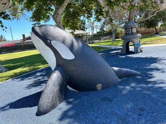 DOLPHIN PARK - Updated December 2025 - 62 Photos & 21 Reviews - 21205 ...