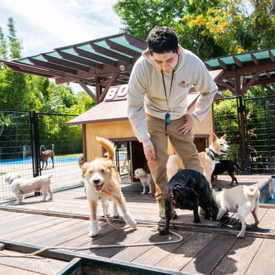 PARADISE RANCH PET RESORT - Updated January 2026 - 220 Photos & 440 ...