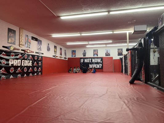 PRO EDGE BOXING, MMA & BRAZILIAN JIUJITSU - 87 Photos & 41 Reviews ...