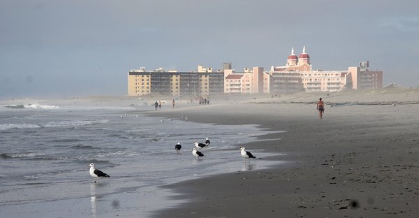 LIDO BEACH AT TOWN PARK - Updated September 2024 - 101 Photos & 60 ...