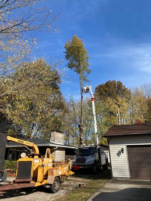 DJ TREE SERVICE - Updated October 2025 - Evansville, Indiana - Tree ...