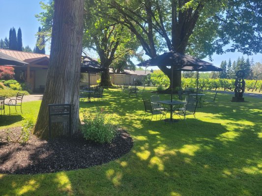 HAMACHER WINES - Updated September 2025 - 36 Photos & 22 Reviews ...