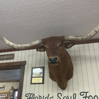 FLORIDA CRACKER FEED LOT - Updated September 2025 - 37 Photos & 25 ...