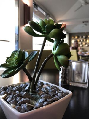 DOHENY SURF RESTAURANT - Updated December 2025 - 24 Photos & 21 Reviews ...