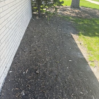 HOPPE TREE SERVICE - Updated December 2025 - 21 Photos & 39 Reviews ...