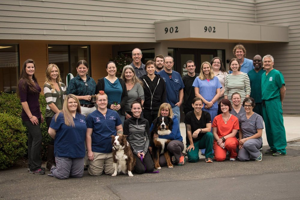 OLYMPIA VETERINARY SPECIALISTS - 15 Photos & 65 Reviews - 902 Union Ave ...