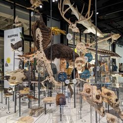Best Museums Near Me - May 2025: Find Nearby Museums Reviews - Yelp
