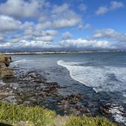 LIGHTHOUSE FIELD STATE BEACH - 490 Photos & 139 Reviews - 701 W Cliff ...