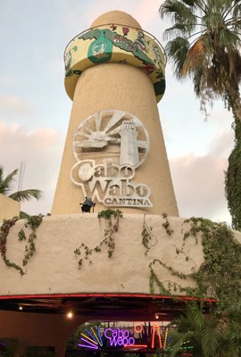 CABO WABO - 690 Photos & 365 Reviews - Mexican - Col. Centro, Cabo San ...