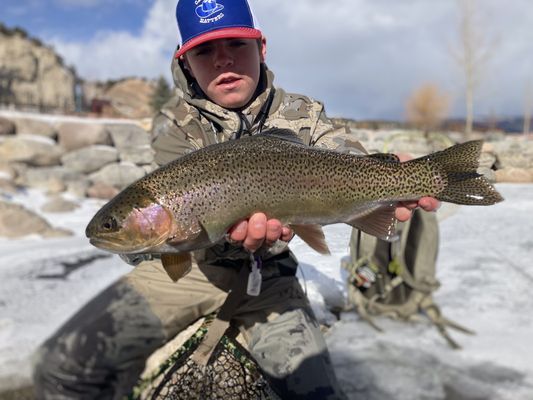 GOLDEN FLY SHOP - Updated December 2025 - 20 Photos & 23 Reviews - 710 ...