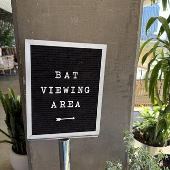 P6 - Updated January 2025 - 707 Photos & 451 Reviews - 111 E Cesar ...