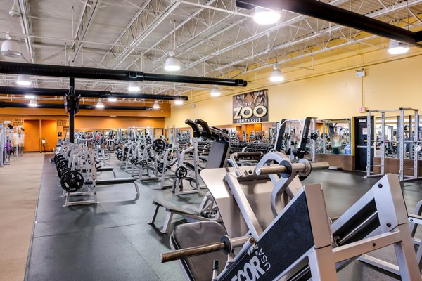 THE ZOO HEALTH CLUB - Updated December 2025 - 52 Photos & 35 Reviews ...