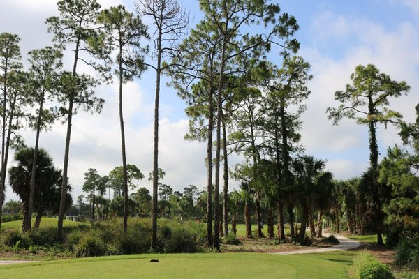 MADISON GREEN COUNTRY CLUB - Updated December 2025 - 27 Reviews - 2001 ...