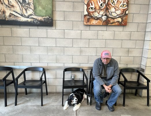 SUNSET CLIFFS ANIMAL HOSPITAL - Updated December 2025 - 98 Photos & 311 ...